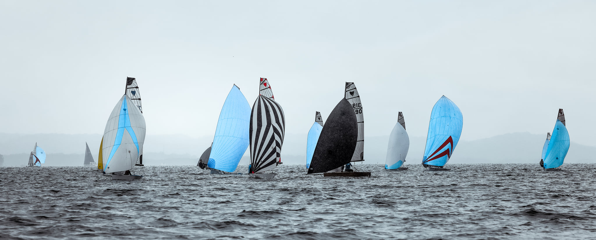 NSW Cherub Championship: Belmont sailors dominate on home turf - MySailing