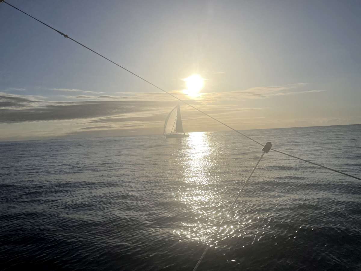 Tollgate Islands Race: Two-handed sailors give fully-crewed yachts run ...