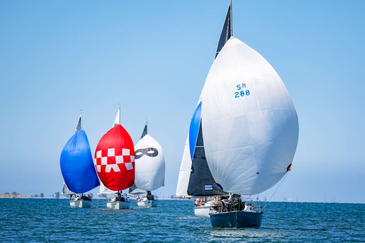 Winners declared at another successful Festival of Sails - MySailing