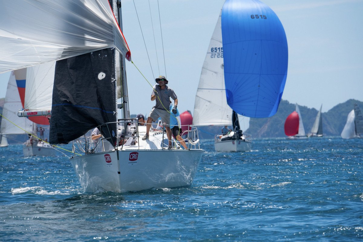 Bay of Islands Sailing Week celebrates milestone 20th regatta - MySailing