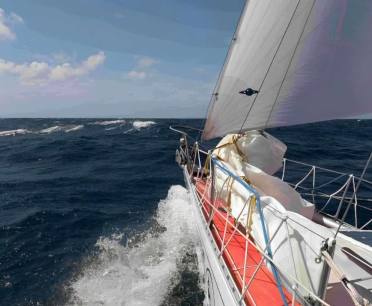 Updates from the 7 skippers at sea in the GSC - MySailing