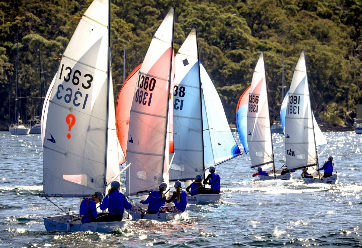 Manly 16ft Skiff Club - Juniors Pathway Program - MySailing