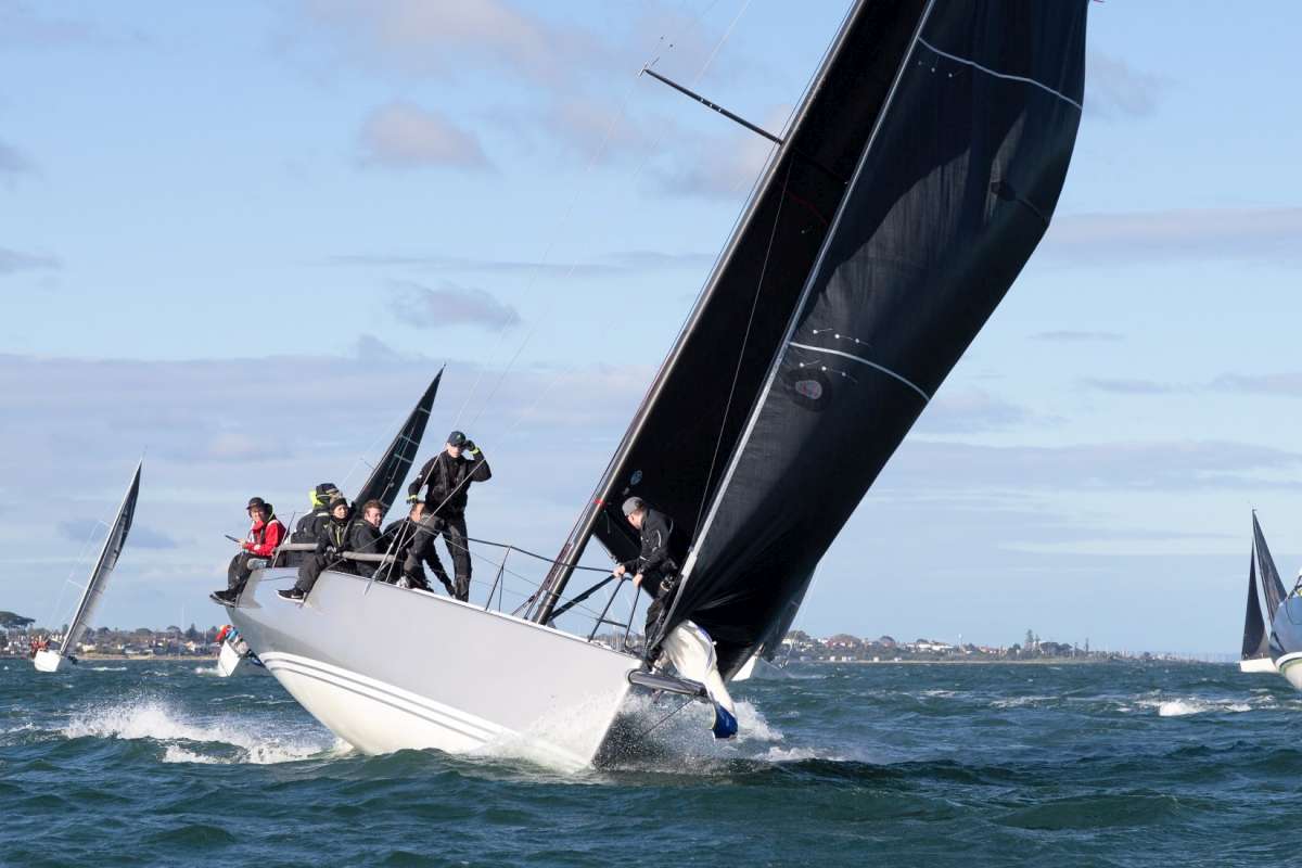 2023 Cock of the Bay popularity reigns - MySailing